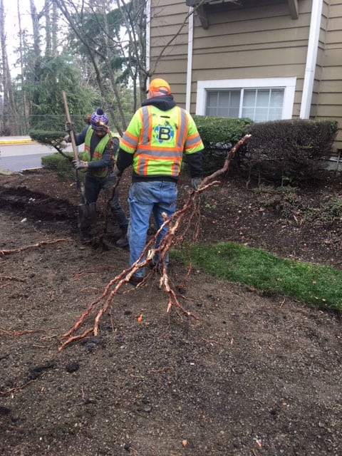 Residential Projects | Benjamin Asphalt Services